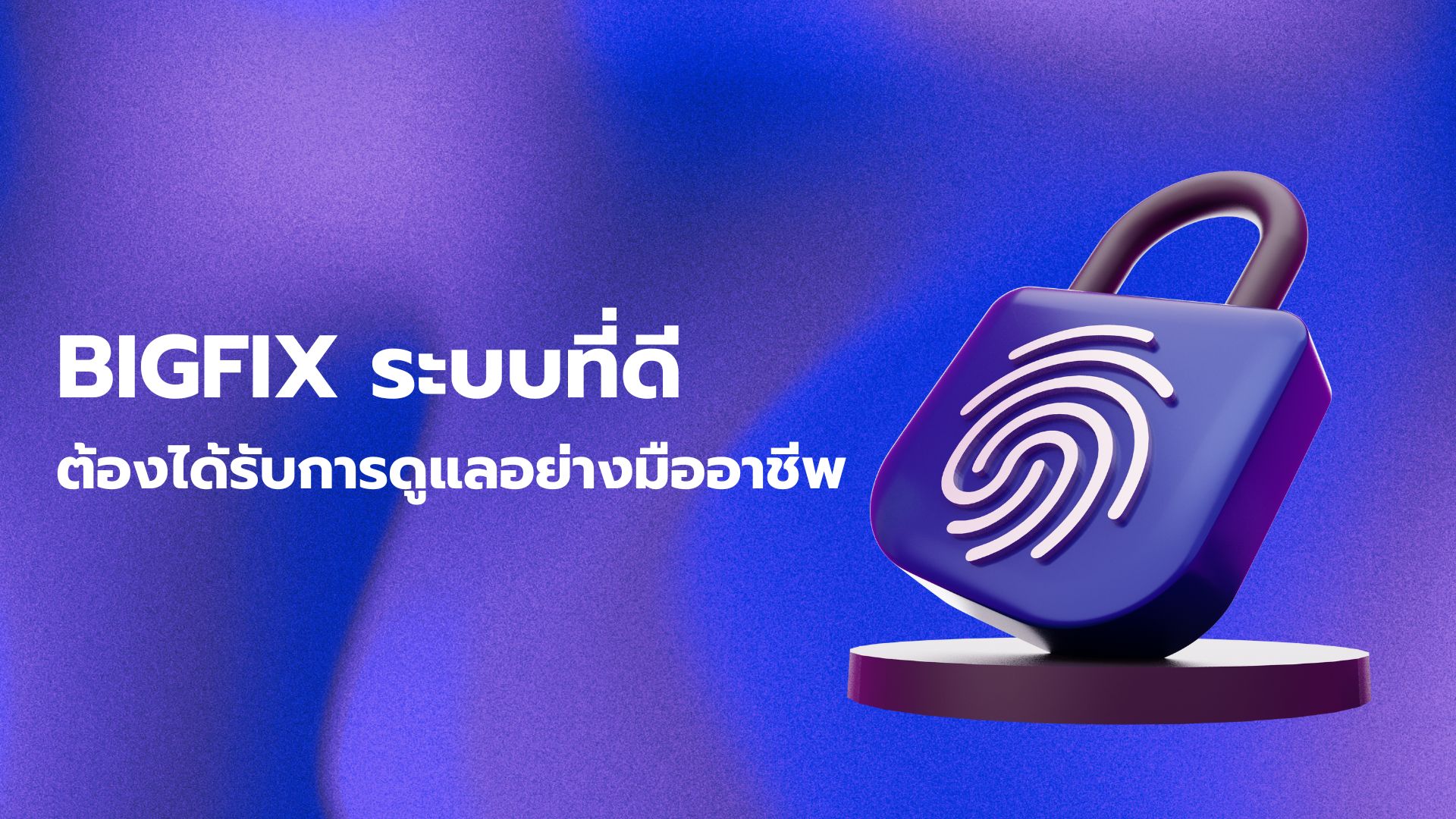 BigFix: A good system requires professional supervision